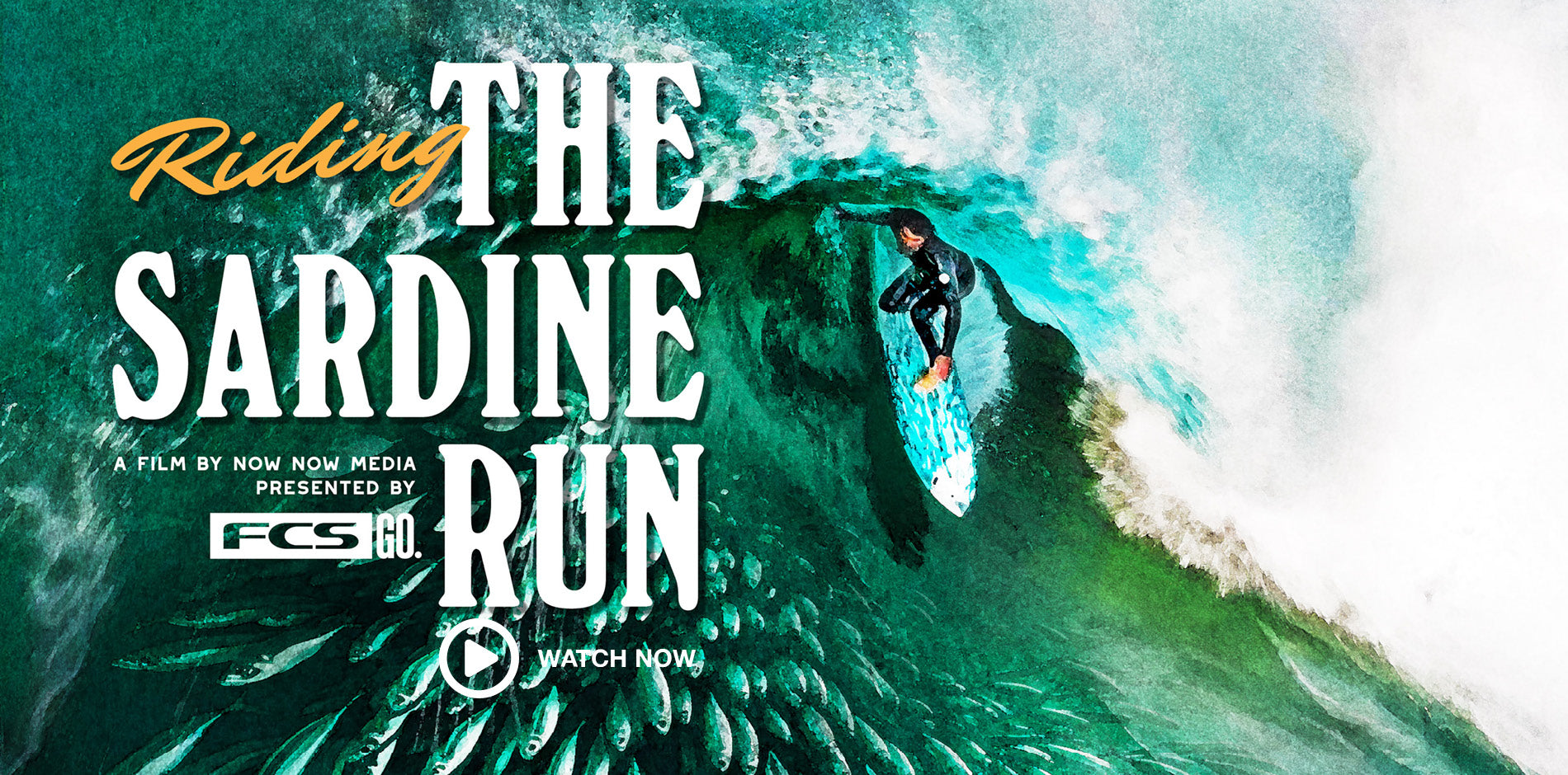 FCS USA: Surfboard Fins, Covers, Traction, Leashes, Surf Accessories